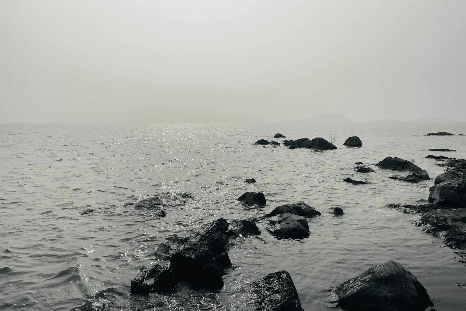 Satapada Travel Guide: Chilika Lake & Dolphin Watching