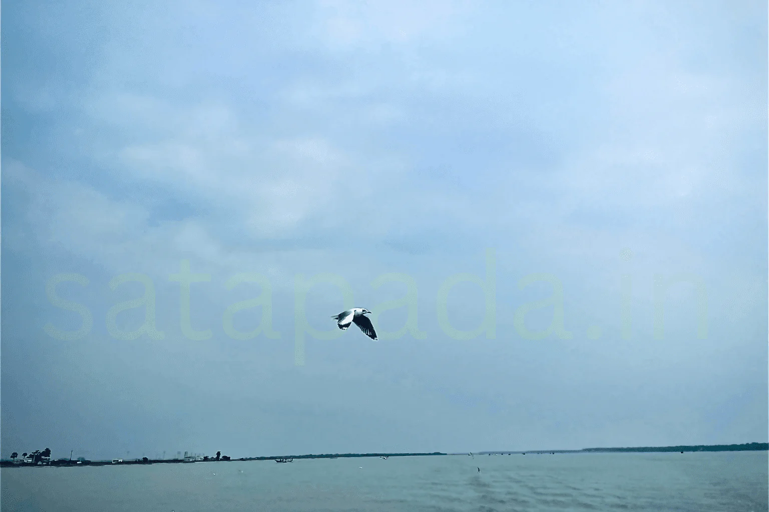 Satapada Travel Guide: Chilika Lake & Dolphin Watching